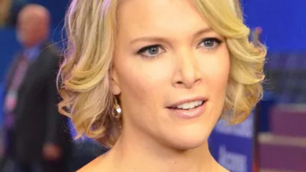 Who is Megyn Kelly? An In-Depth Look at the Life and Career of Megyn ...